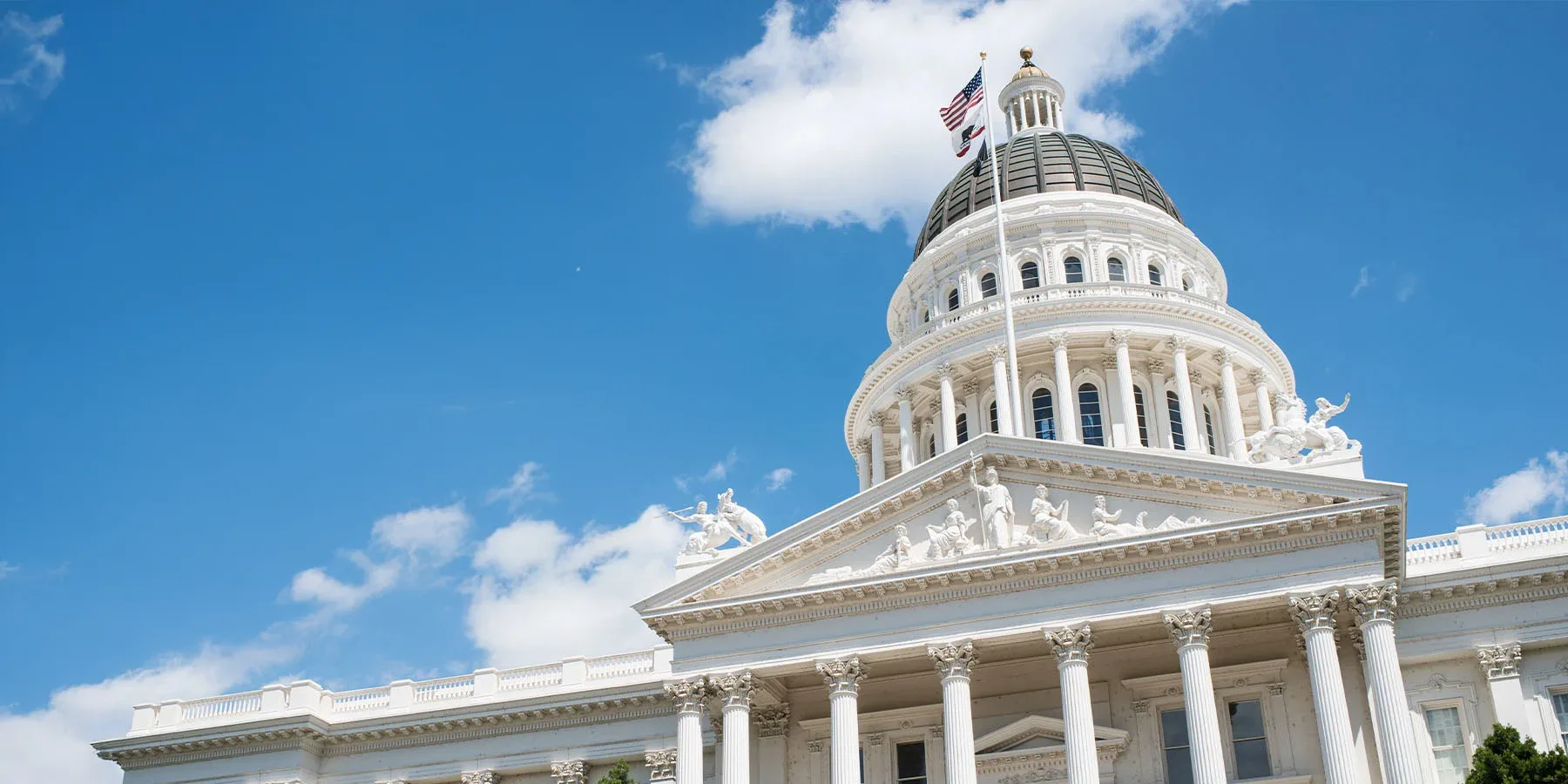 Trusted Government Contracts Attorney for Federal Contractors - Pannier ...
